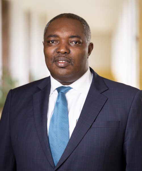 Directors – Bora Capital Advisors